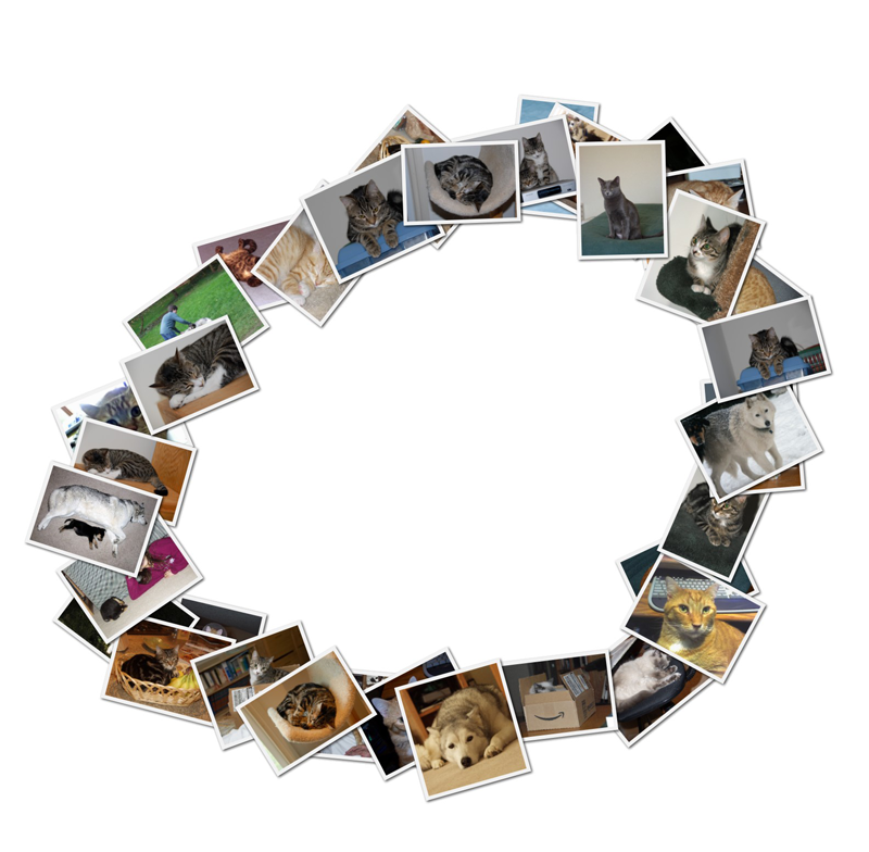 Create A Photo Collage In Any Shape Macworld